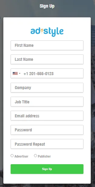 AdStyle 评论 2025：最佳原生广告网络（优点和缺点）