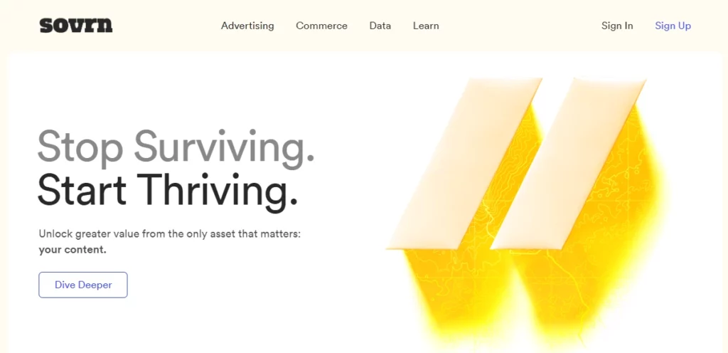 12+ Best In-Text Ad Networks and Monetizing Platforms 2025