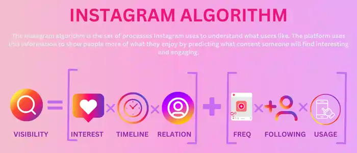 Instagram Statistics 2025: Latest User & Growth Data