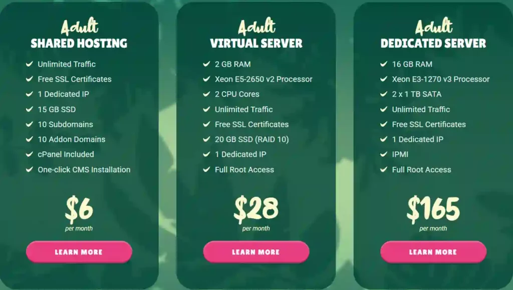 Vicetemple Review: #1 Adult Web Hosting Provider in 2026