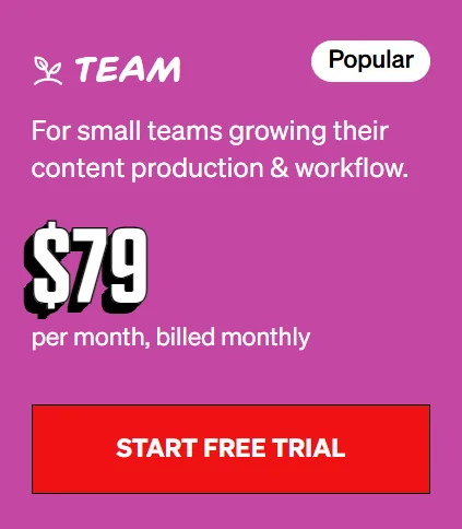 Blaze AI Pricing 2025: Is $34/Month Actually a Steal?